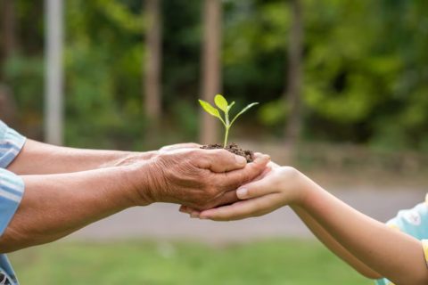 6 Types of Unique CSR Activities in Malaysia That Create Lasting Impact
